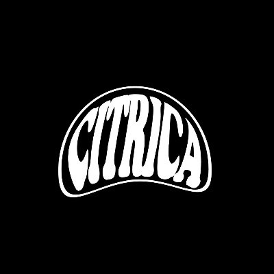 IA: la brújula china apunta al Sur Global - Citrica