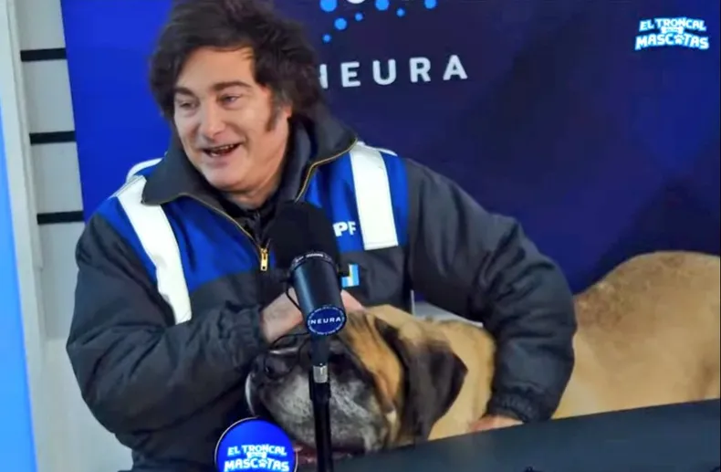 Milei sorprendió al mostrar por primera vez a Conan en un streaming ...